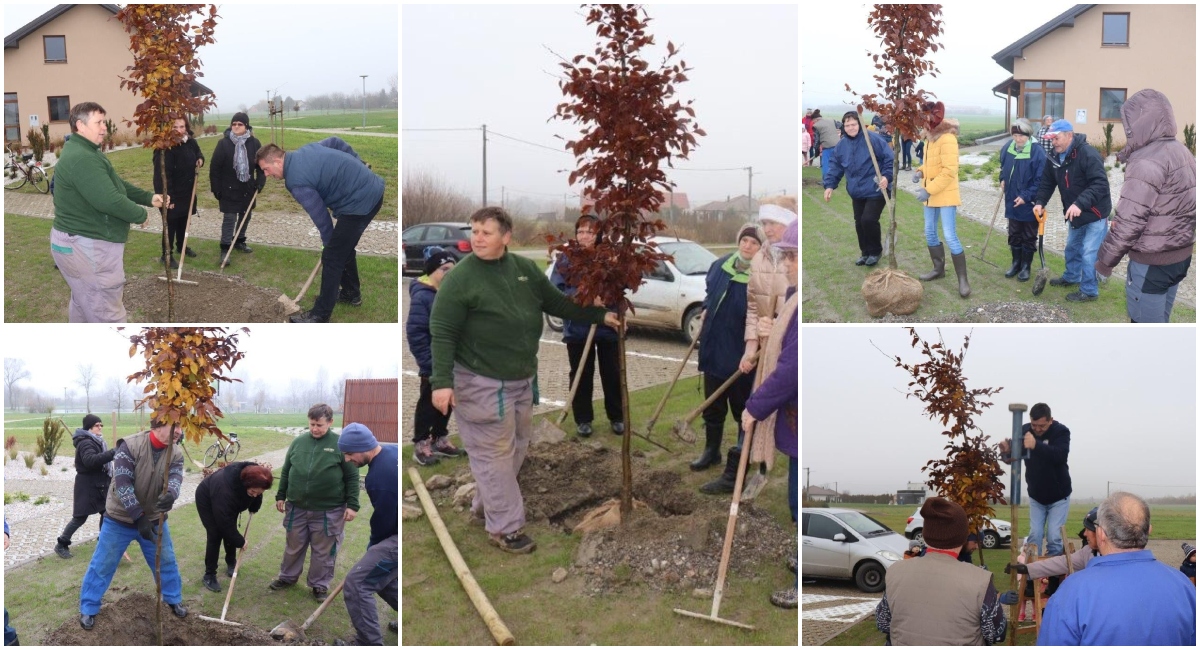 FOTO Održana kolektivna sadnja stabala „Zasadi stablo, ne budi panj!“ u najljepšem parku u ...