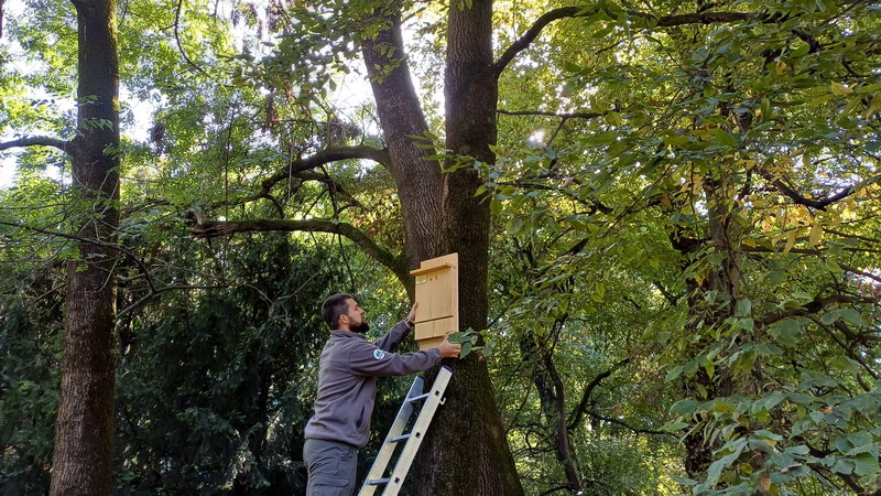 Šišmiši i ježevi dobili novi dom zahvaljujući donaciji Optike Briljant ...
